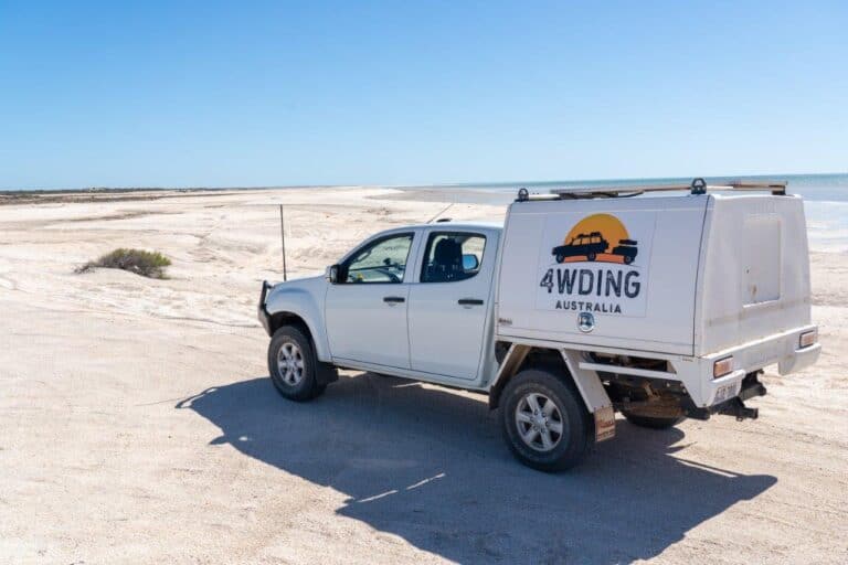 Shell Beach in Shark Bay; a beach with no sand