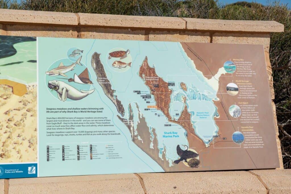 Shark Bay Camping; what’s your options?