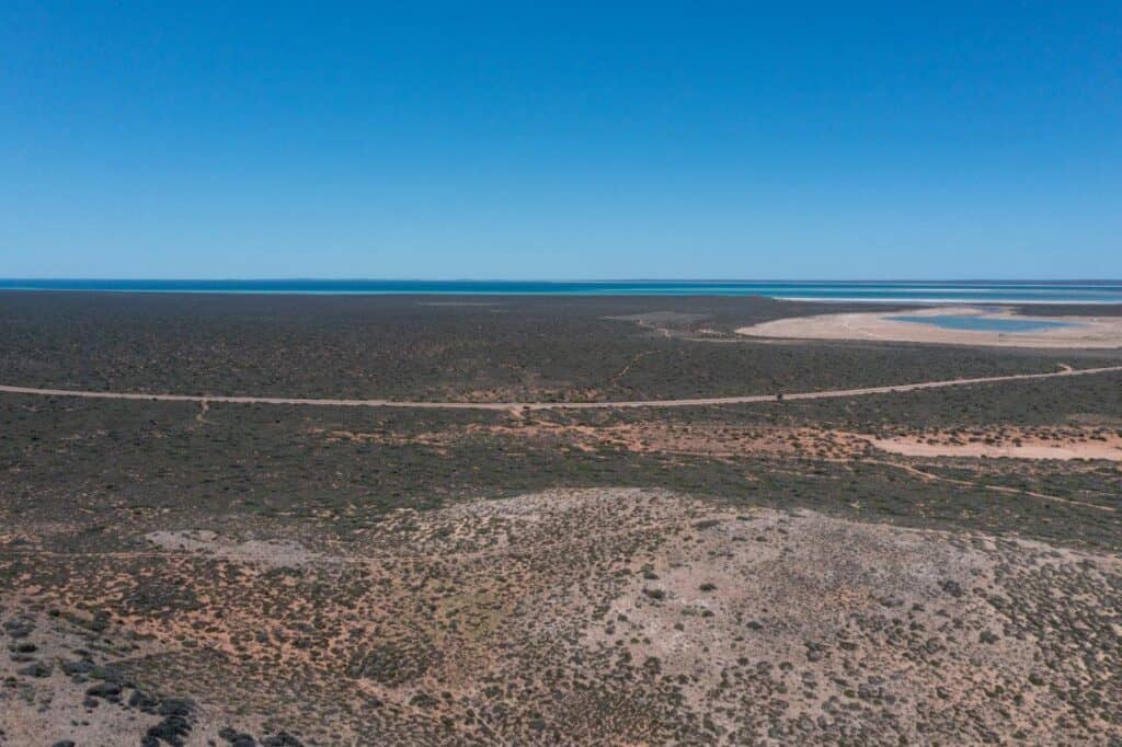 Shell Beach in Shark Bay; a beach with no sand