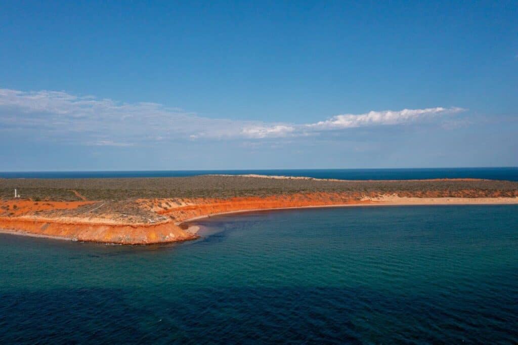14 amazing things to do in Shark Bay