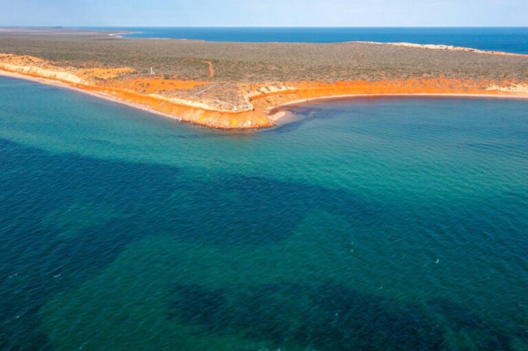 Shark Bay 4WD Tracks; spectacular views and beaches