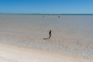 14 amazing things to do in Shark Bay
