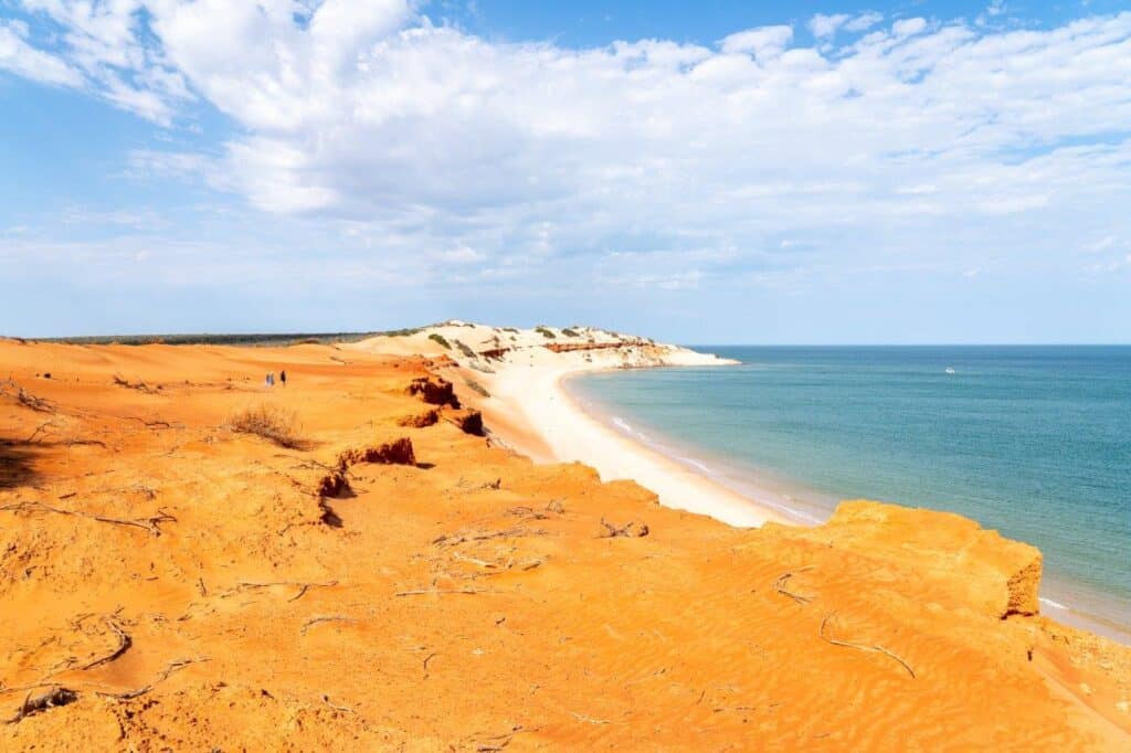 14 amazing things to do in Shark Bay