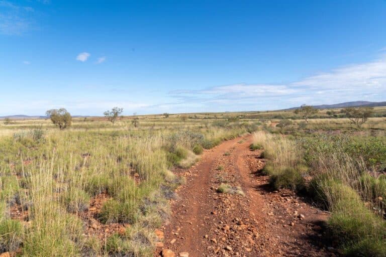 Magic Pool; remote paradise in the Pilbara