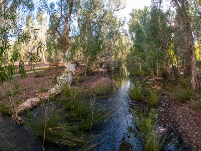 Camping in a river bed; what you need to be aware of