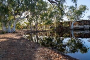 Bilung Pool; a huge, unexpected highlight
