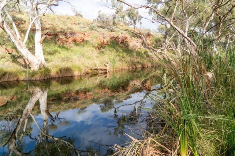 Magic Pool; remote paradise in the Pilbara