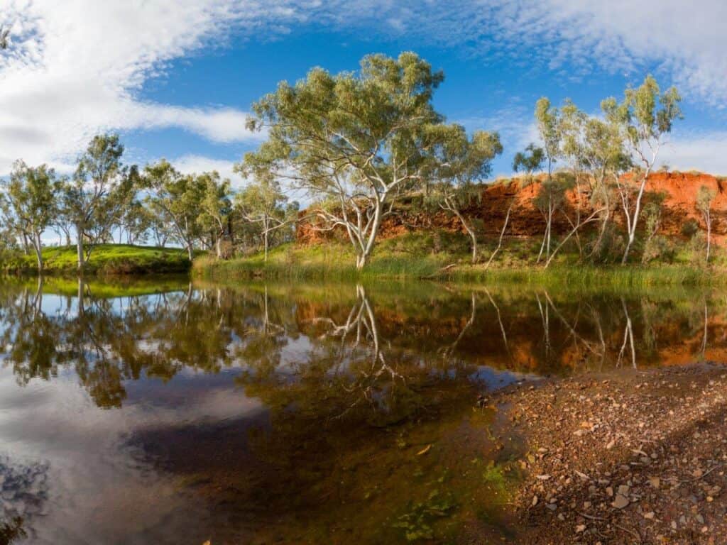 Magic Pool; remote paradise in the Pilbara