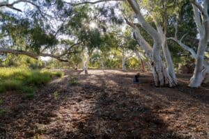 Bilung Pool; a huge, unexpected highlight