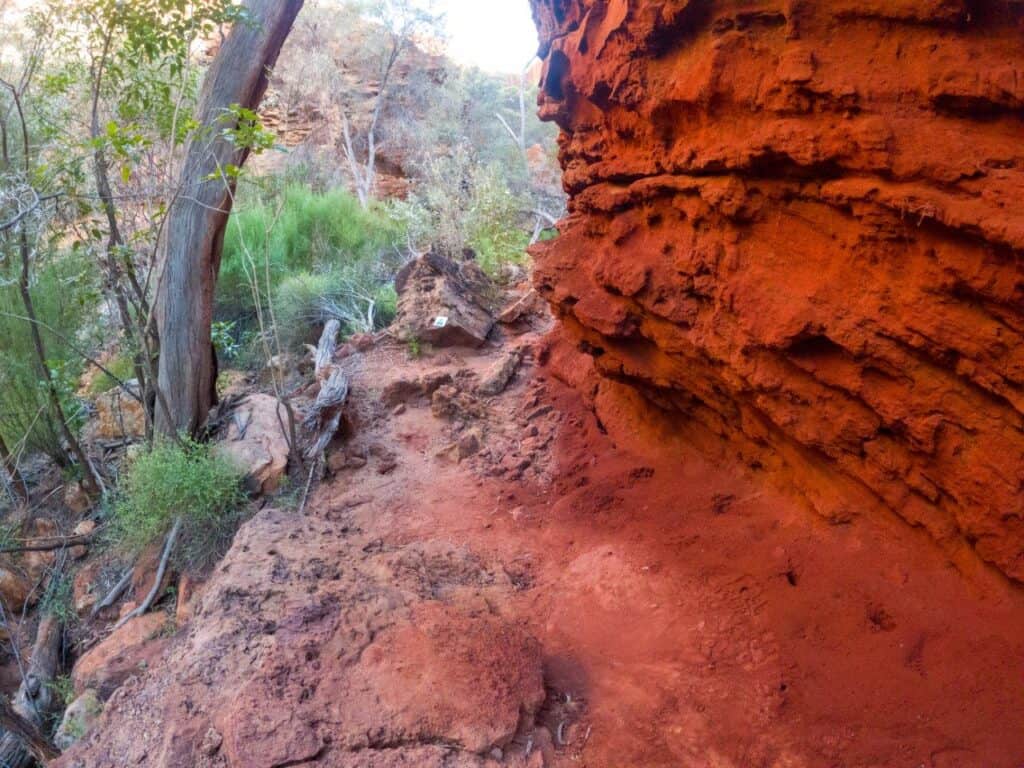 Archies Thongs; a purchase worthy of a review