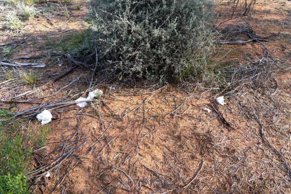 White Wells Rest Area