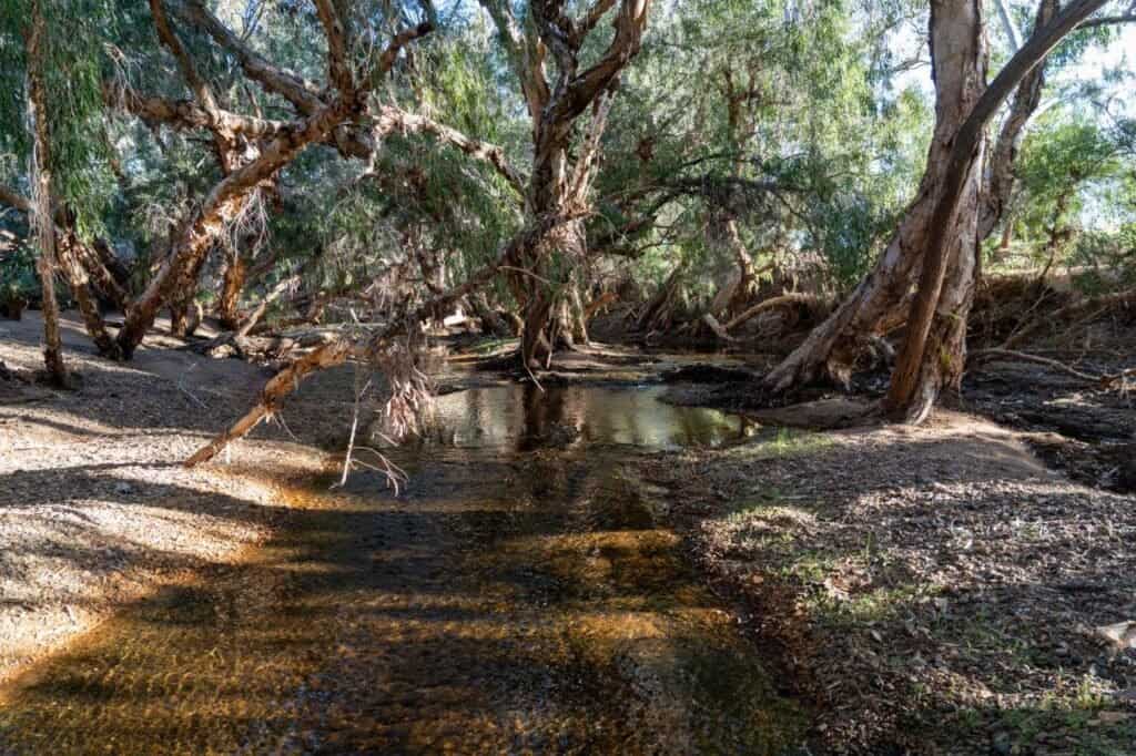 Meentheena Veterans Retreat; sensational Pilbara Camping