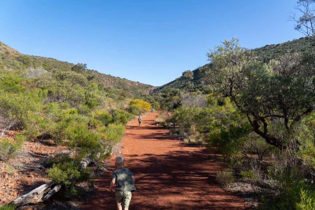 Gawler Ranges National Park; a great camping destination in SA