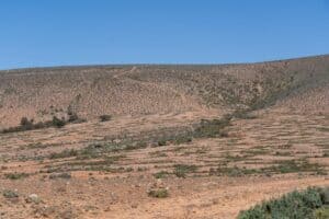 The Burnette 4WD track on Mern Merna Station