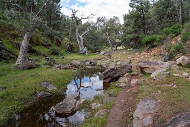 The Flinders Ranges; a must see region of Australia
