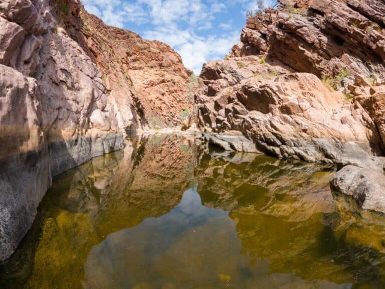 Arkaroola; a huge highlight in the Flinders Ranges