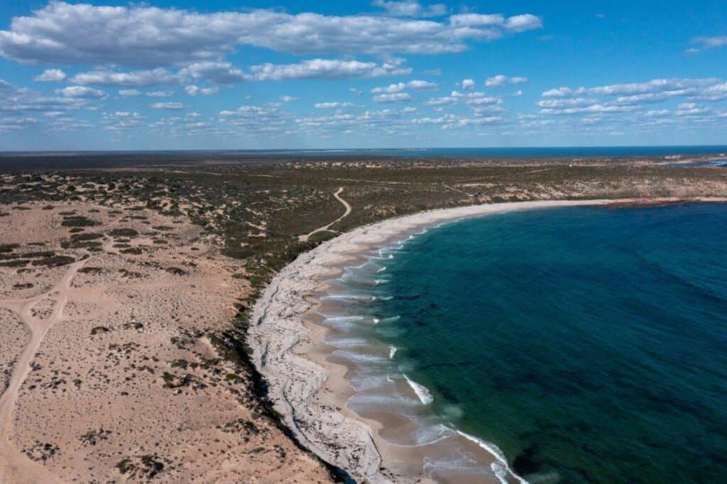 Point Brown on the Eyre Peninsula; amazing, free camping in SA