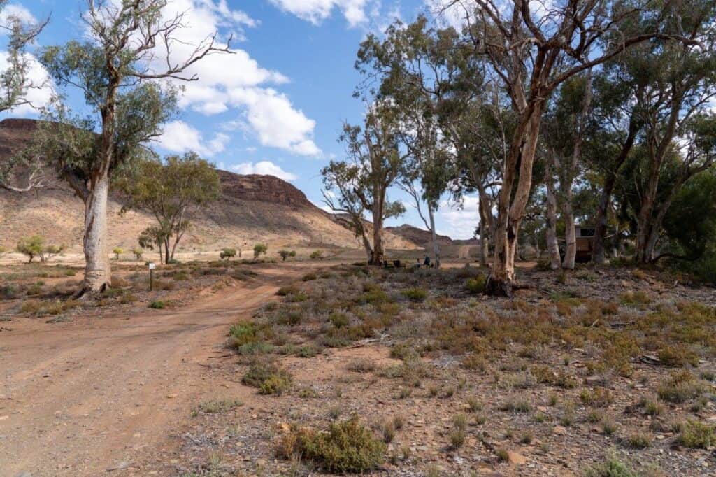 Chambers Gorge in the Flinders Ranges; great free camping