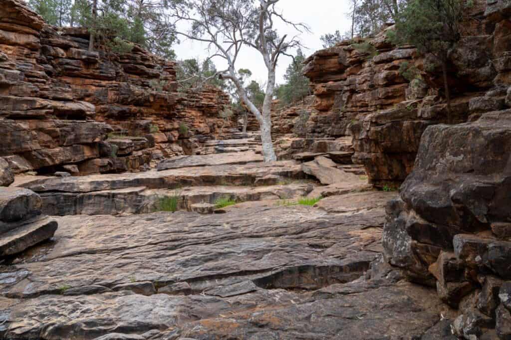 Ferguson Gorge on Moolooloo Station; unreal Flinders camping