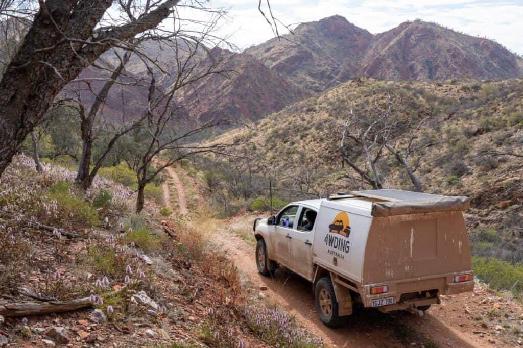 Flinders Ranges 4WD tracks; beauty and adventure beyond belief