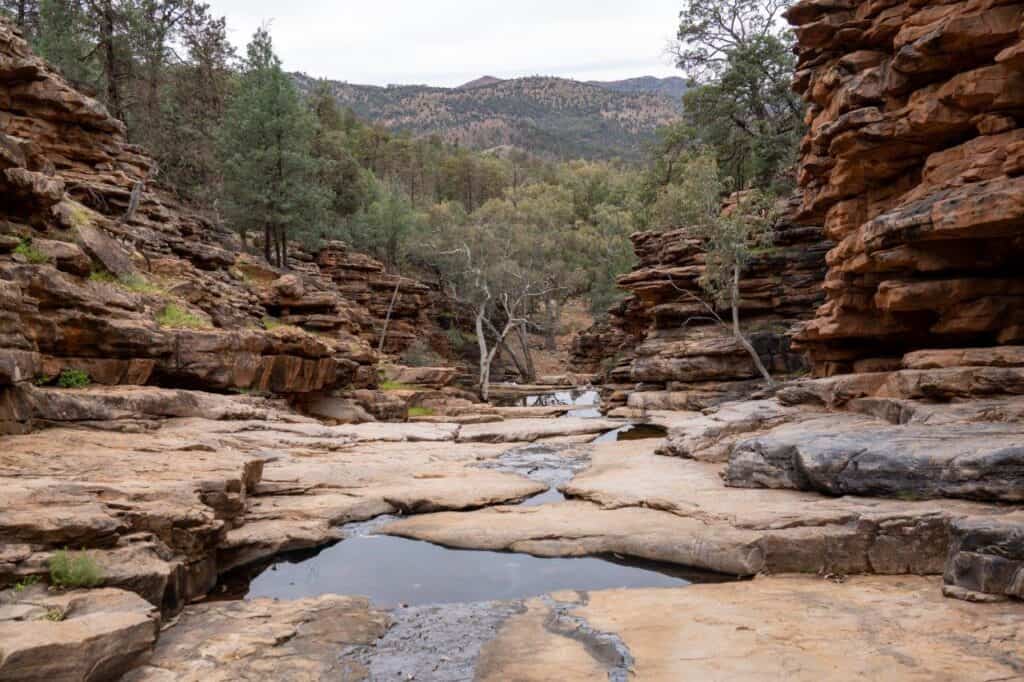 Ferguson Gorge on Moolooloo Station; unreal Flinders camping