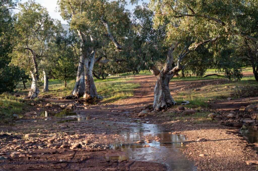 Rawnsley Park Station; a nice surprise in the Flinders Ranges