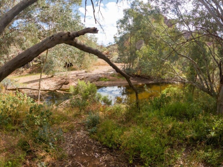 Arkaroola 4WD Tracks; beautiful, rugged and proper off road