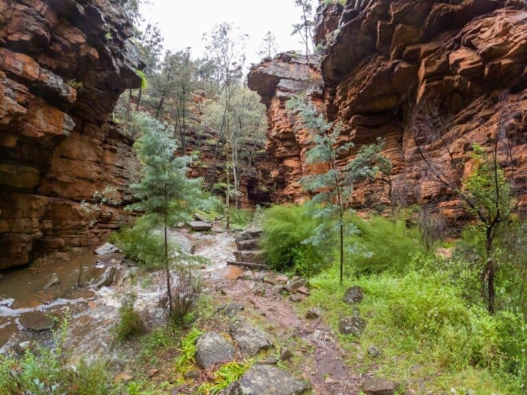 Alligator Gorge; a truly epic place