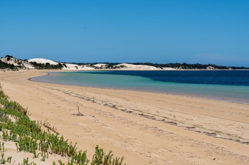 Black Springs Campground in Coffin Bay National Park