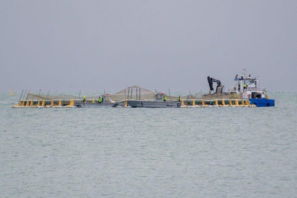 Fitzgerald Bay; spectacular Whyalla Camping