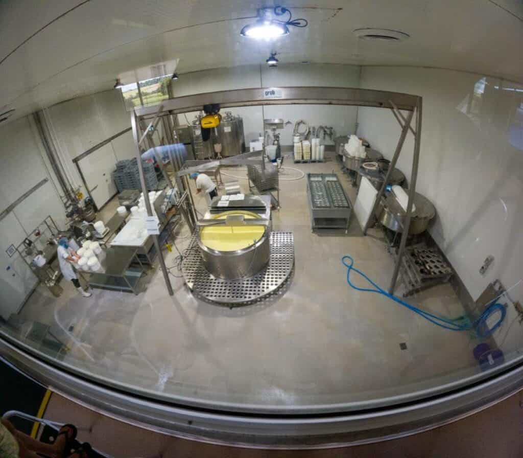 Malanda Falls Caravan Park; not just your typical stay