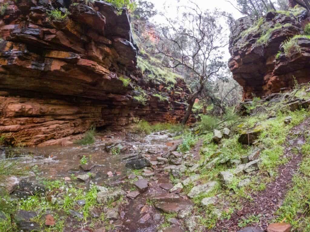 Alligator Gorge; a truly epic place