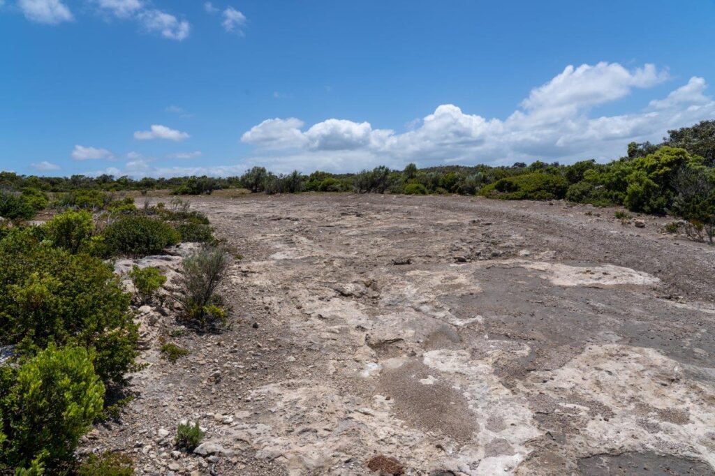 Memory Cove; Lincoln National Park’s best camping