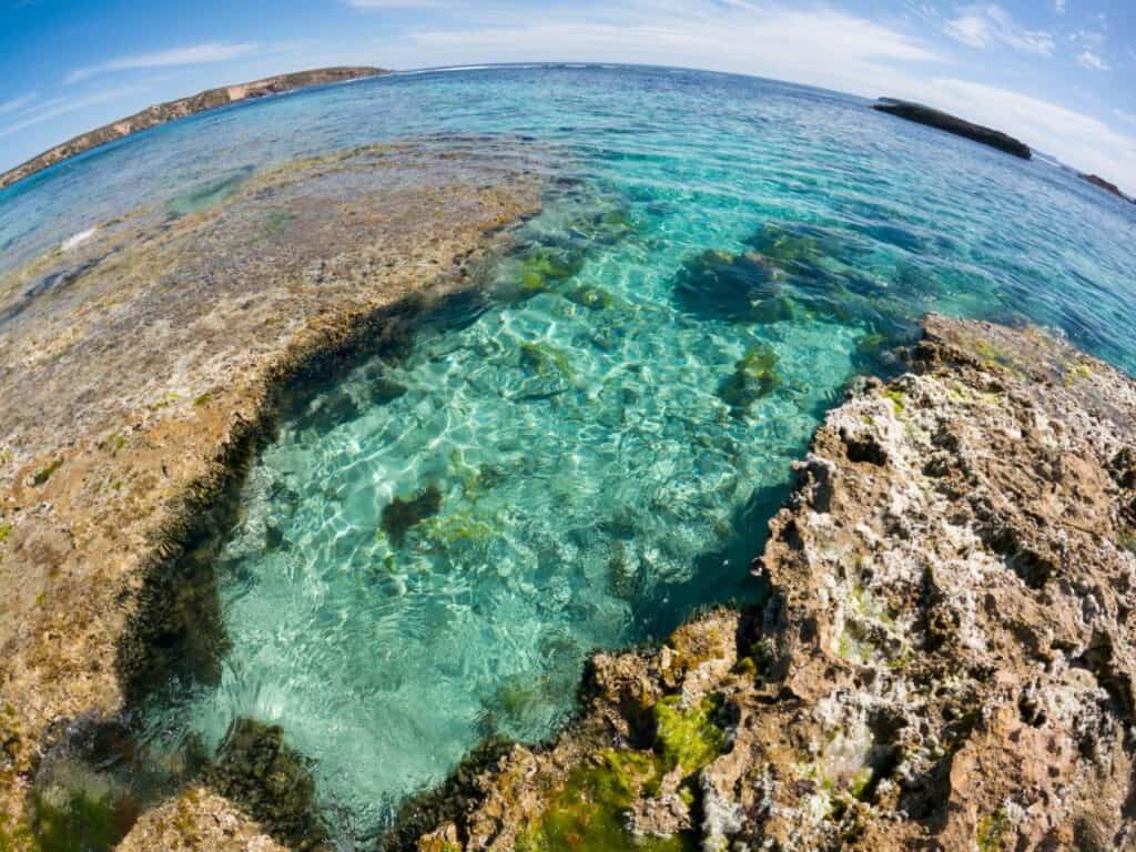 Yangie Bay Campground in Coffin Bay