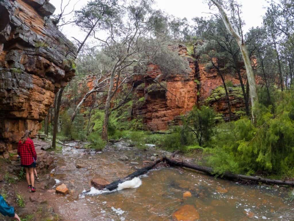 Alligator Gorge; a truly epic place