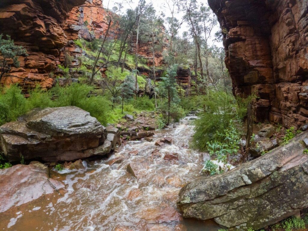 Alligator Gorge; a truly epic place