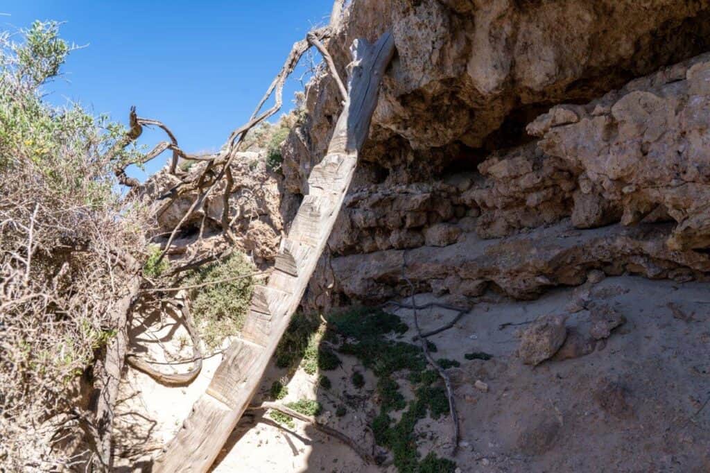 Talia Cave; more spectacular South Australia Coastline
