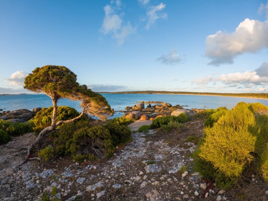 Fisherman Point; great camping in Lincoln National Park