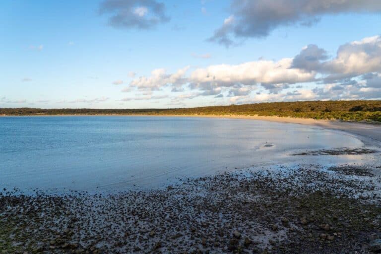 Fisherman Point; great camping in Lincoln National Park