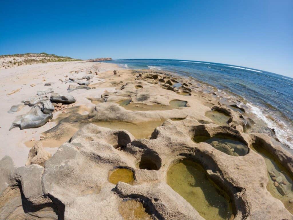 Beach Camping in South Australia; 15 great options