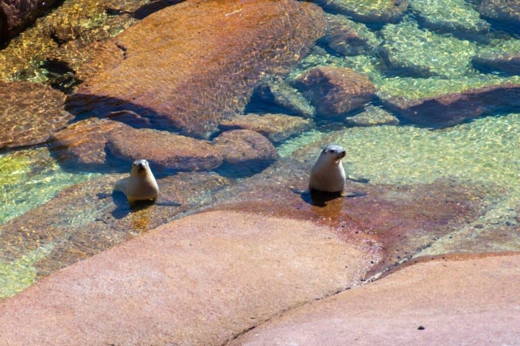 Point Labatt and camping nearby