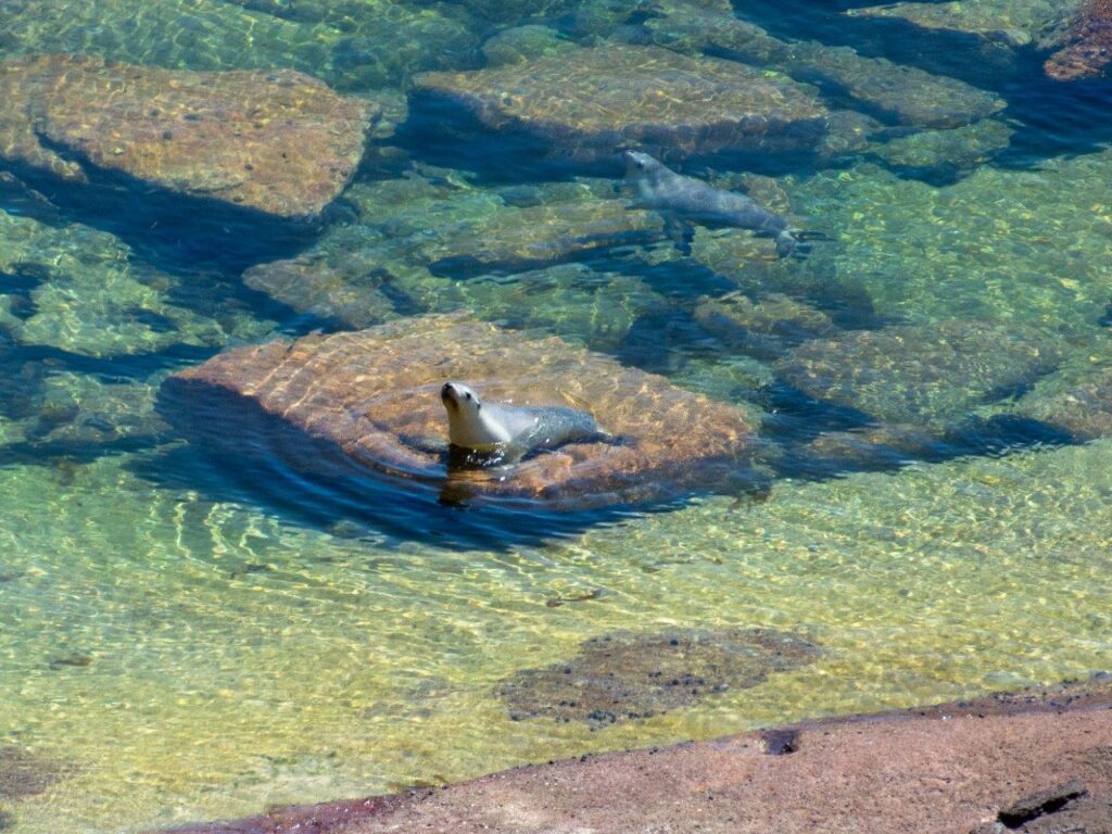 Point Labatt and camping nearby