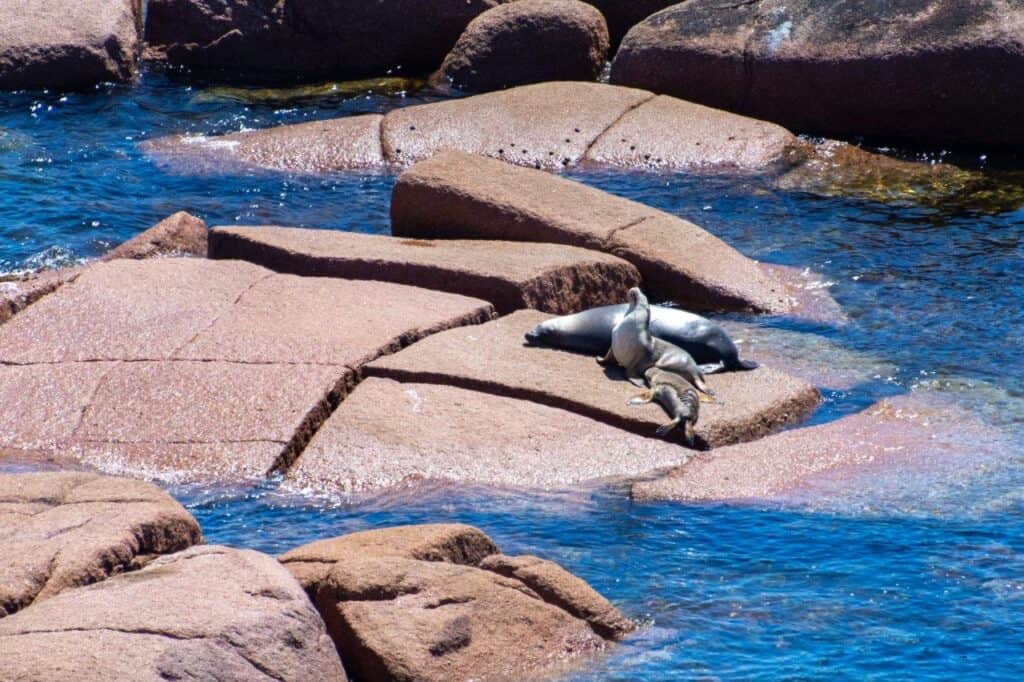Point Labatt and camping nearby