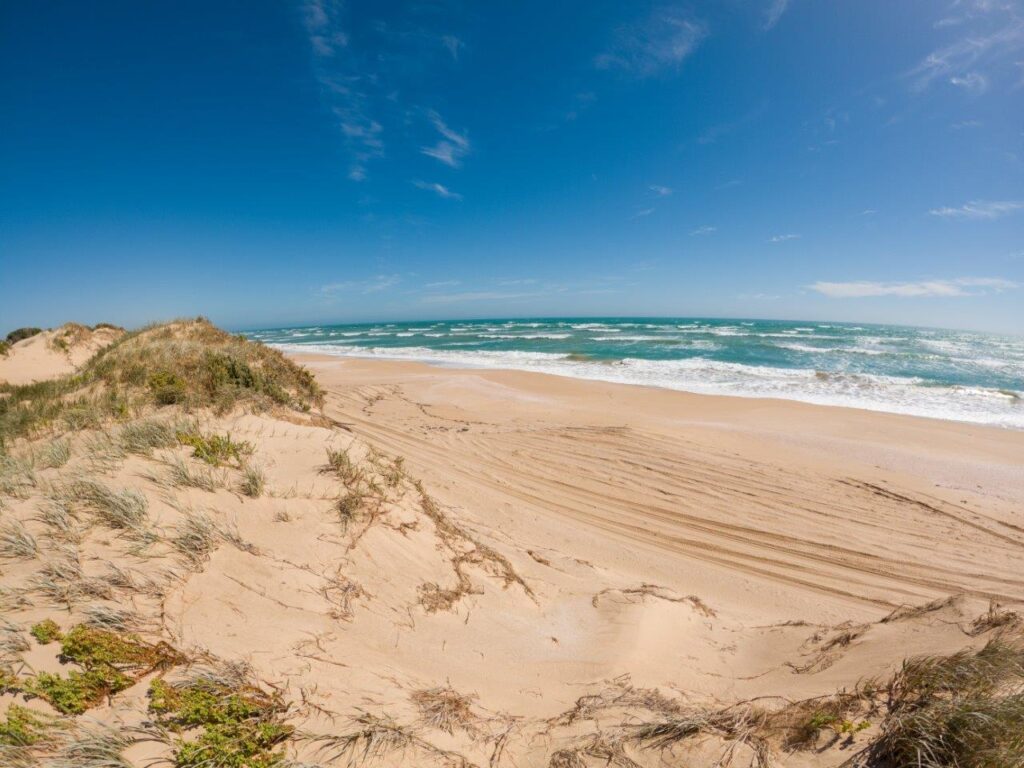 42 Mile Crossing Campground in the Coorong
