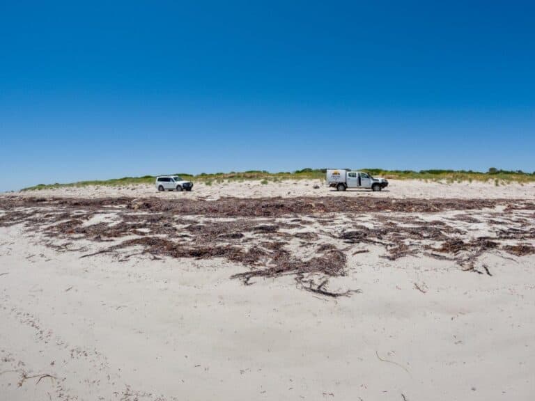 Robe 4WD Tracks; incredible beach driving in South Australia