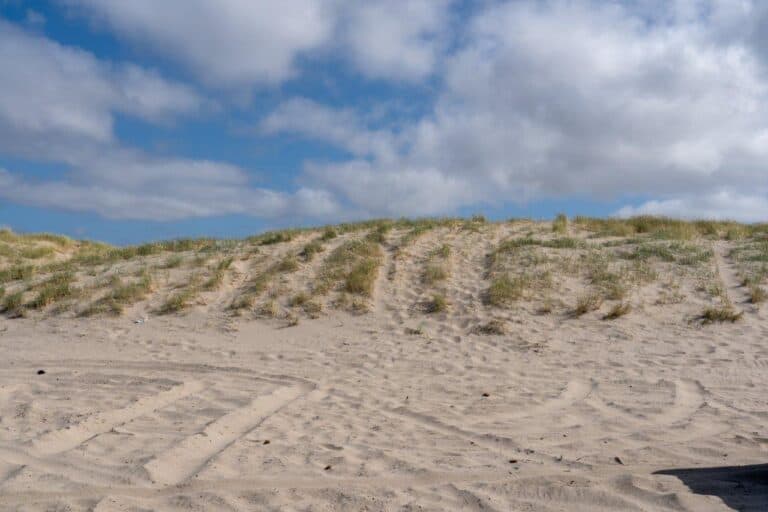 Goolwa Beach by 4WD; see the Murray River Mouth