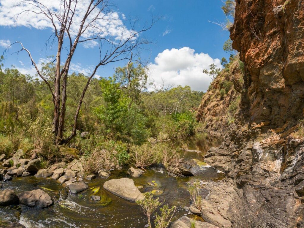 Pink Gum Campground in Onkaparinga River National Park