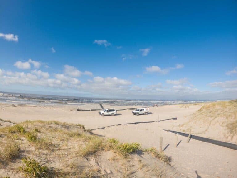 Goolwa Beach by 4WD; see the Murray River Mouth