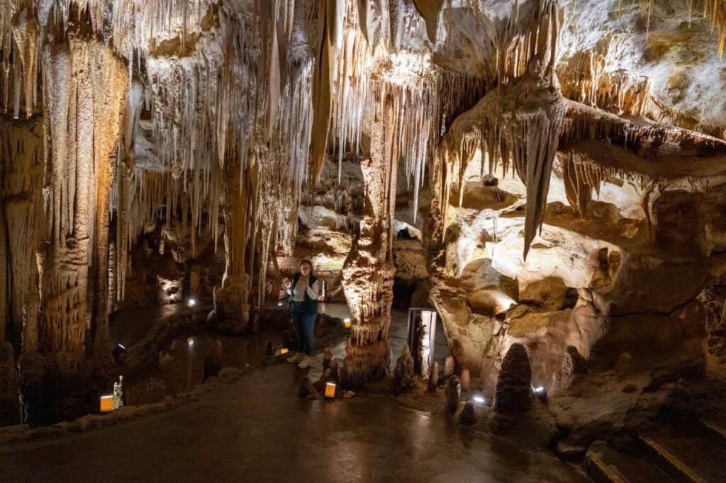 Tantanoola Caves