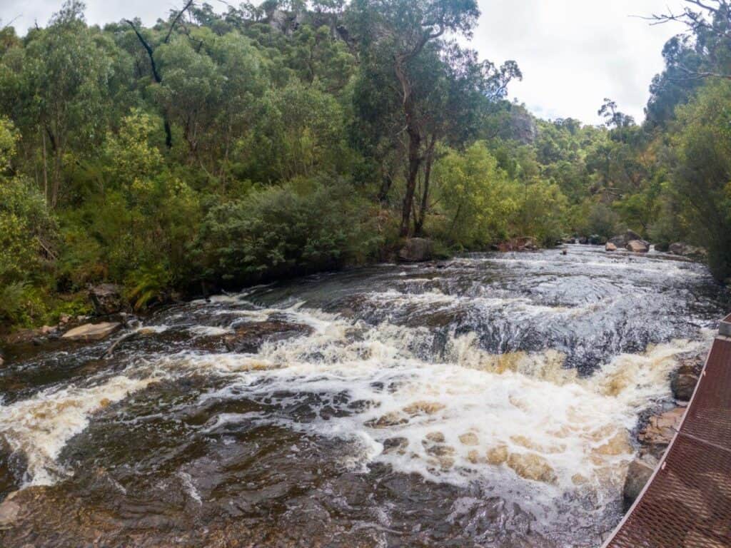Mackenzie Falls in the Grampians; they're truly spectacular